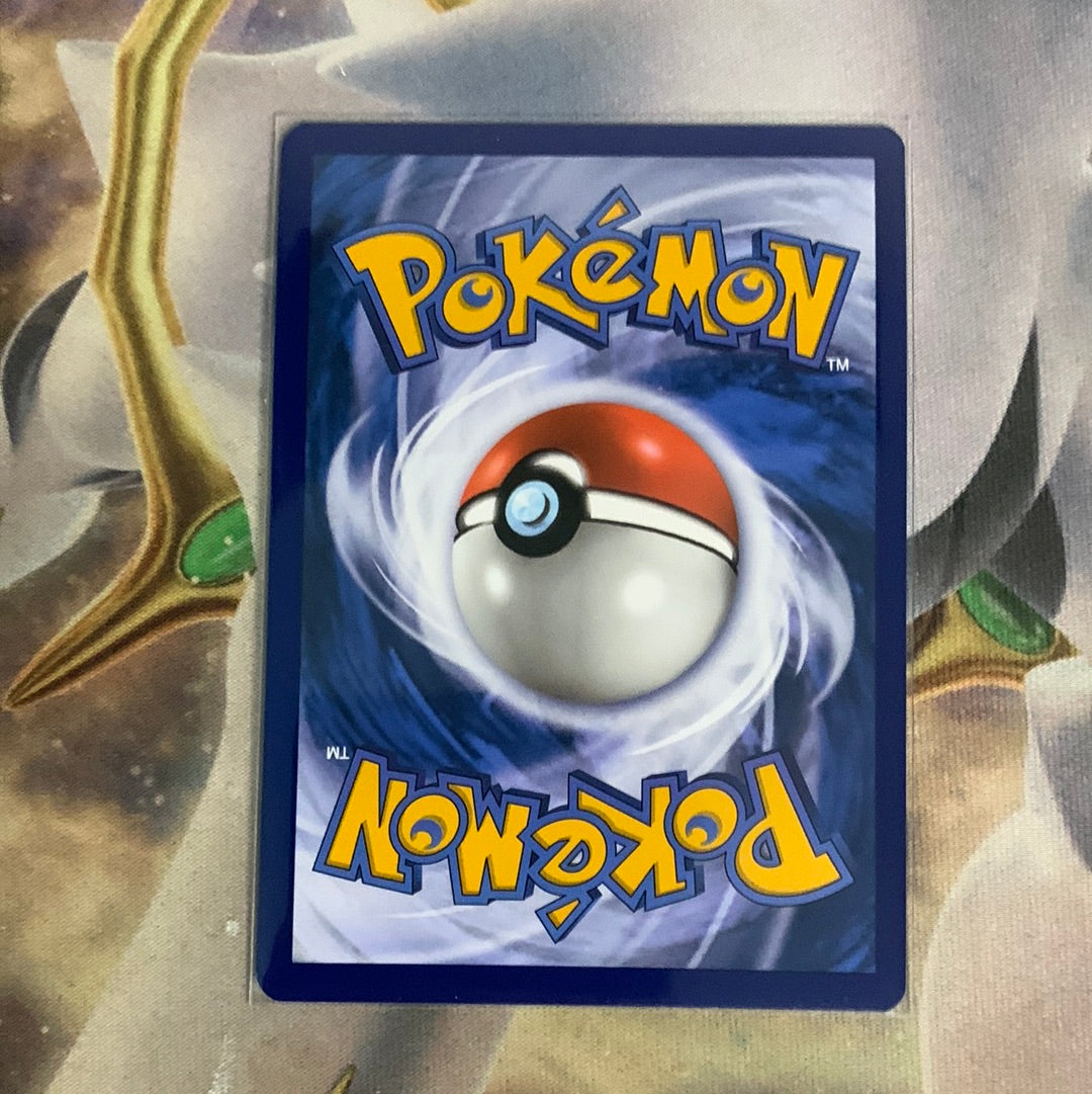 Chien-Pao ex SIR – Pally’s Trainer & Collector Store